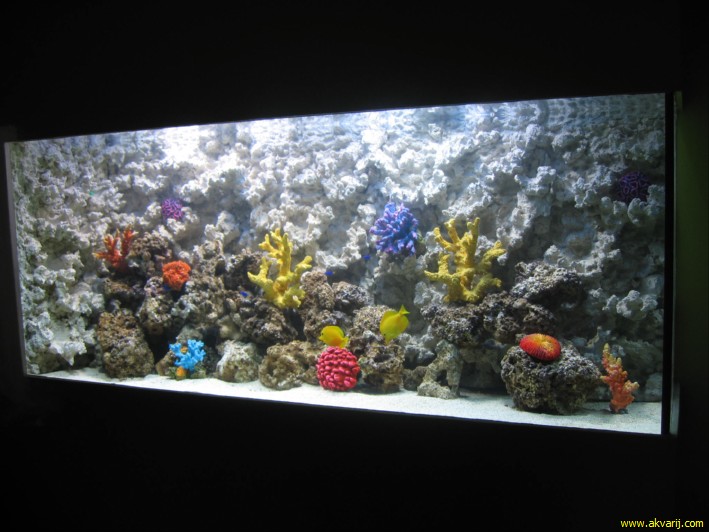 MORSKI AKVARIJ VELIKOSTI 1020L morske ribe ter korale