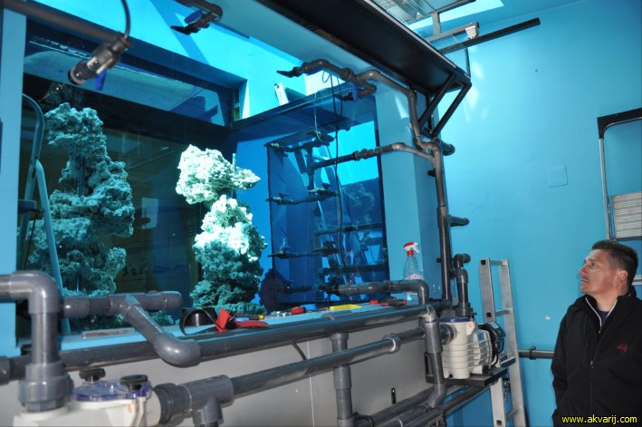 MORSKI AKVARIJ - 10000L 2 OGROMEN MORSKI AKVARIJ