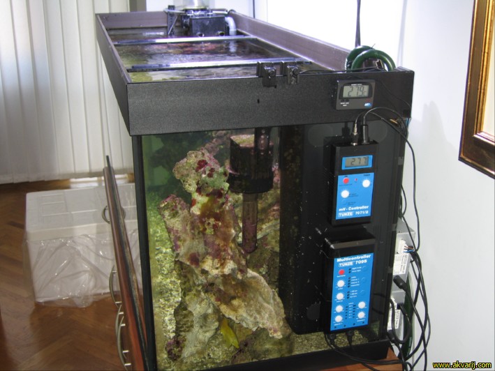MORSKI AKVARIJ - 400L 1 Tunze mv controler turbelle stream