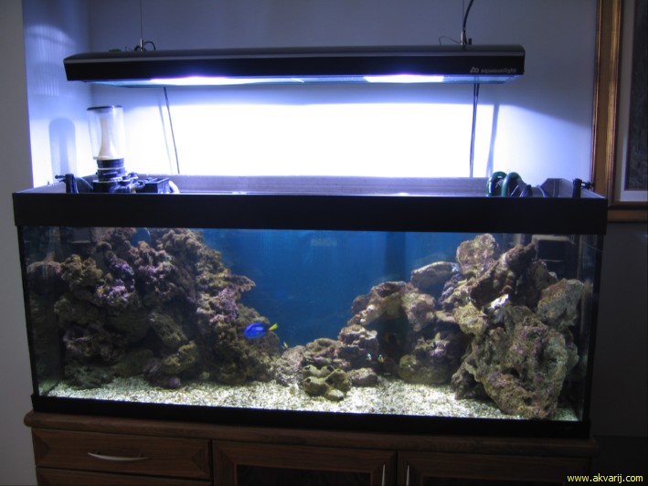 MORSKI AKVARIJ - 400L morski juwel 400